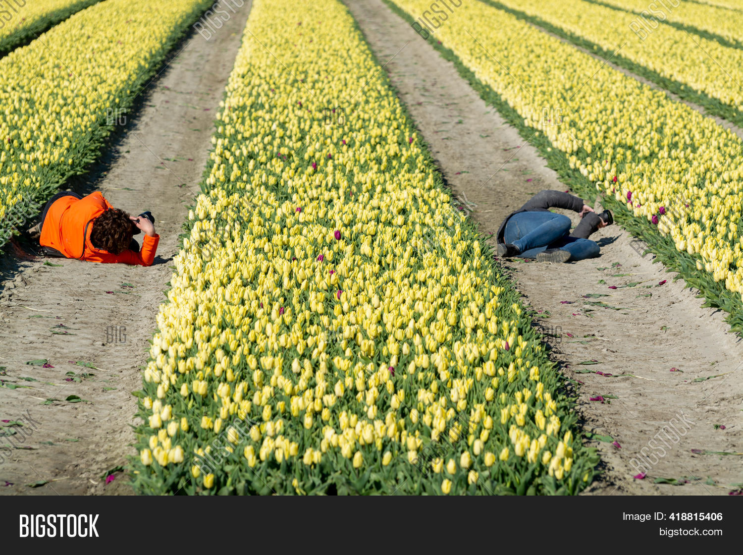 Difficult Work Image & Photo (Free Trial) | Bigstock