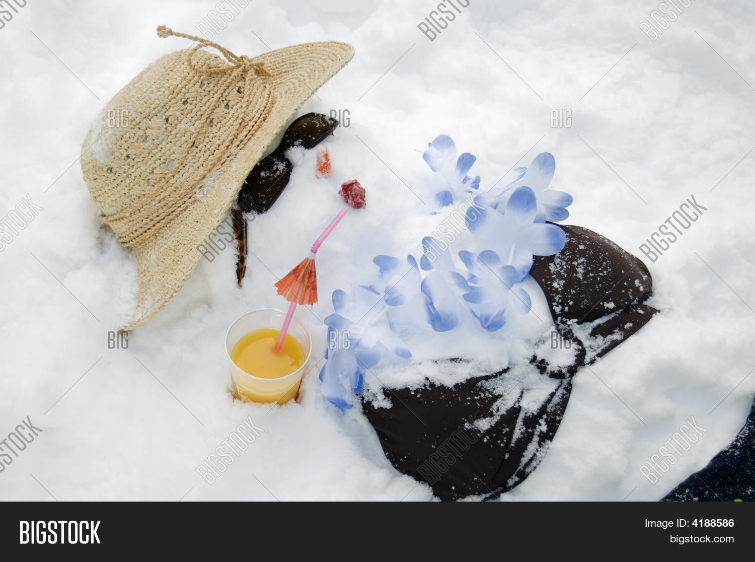 Snowman Bikini Image & Photo (Free Trial) | Bigstock