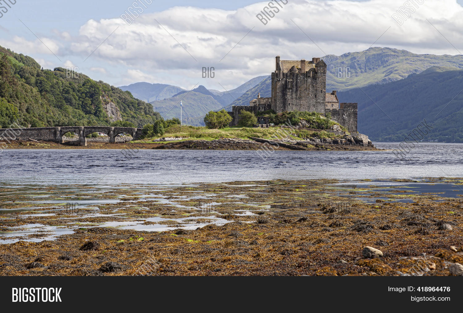 Castle On Top Grass Image & Photo (Free Trial) | Bigstock