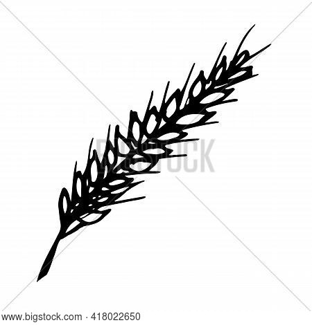 Grain.contour Grain Vector & Photo (Free Trial) | Bigstock