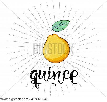Quince. Fruit Symbol Vector & Photo (Free Trial) | Bigstock
