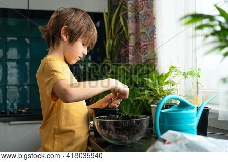 Little Boy Planting Image & Photo (Free Trial) | Bigstock