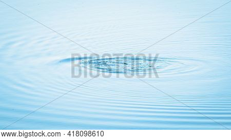 Bird Diving Lake Water Image & Photo (Free Trial) | Bigstock