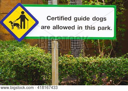 Certified Guide Dog Image & Photo (Free Trial) | Bigstock