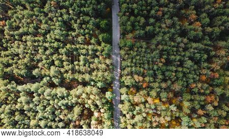 Aerial Top View Forest Image & Photo (Free Trial) | Bigstock