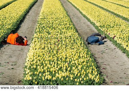 Difficult Work Image & Photo (Free Trial) | Bigstock