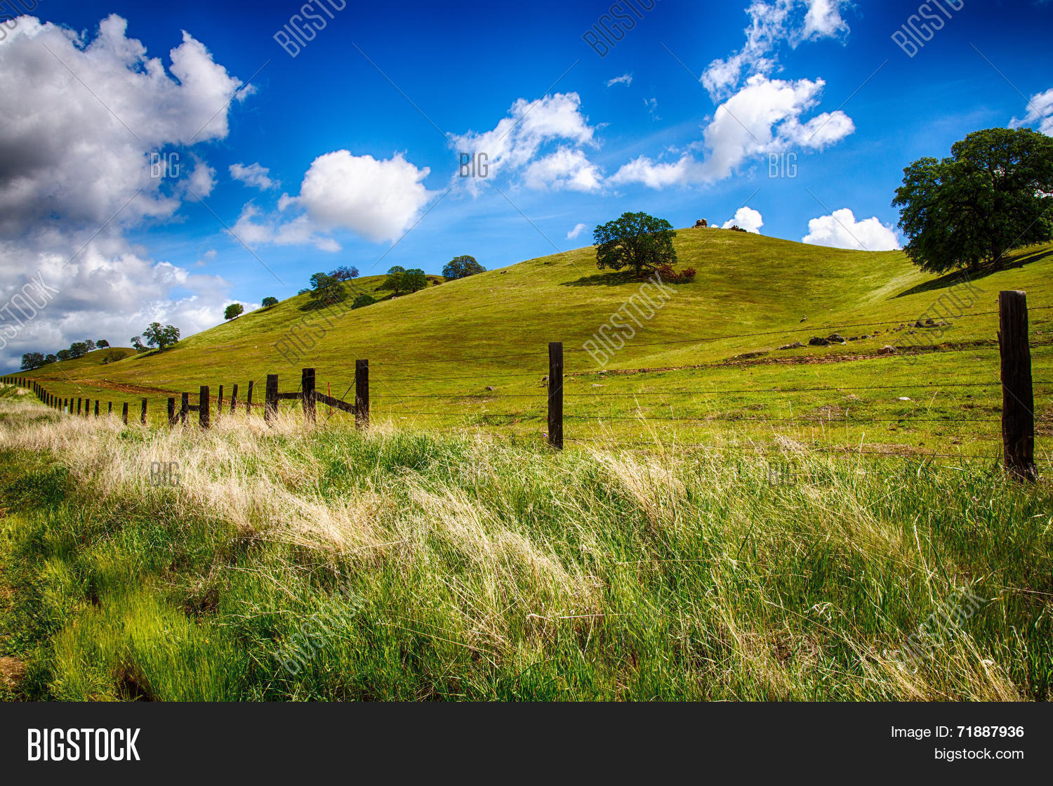 Rolling Green Hills Image & Photo (Free Trial) | Bigstock