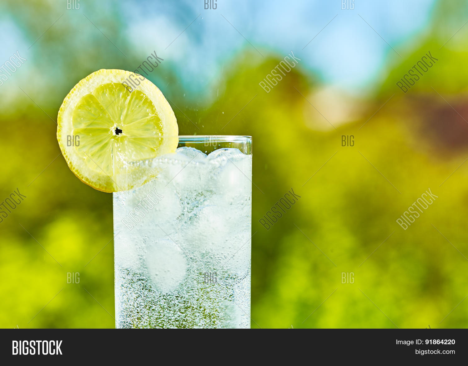 Sparkling Water Lemon Image & Photo (Free Trial) | Bigstock