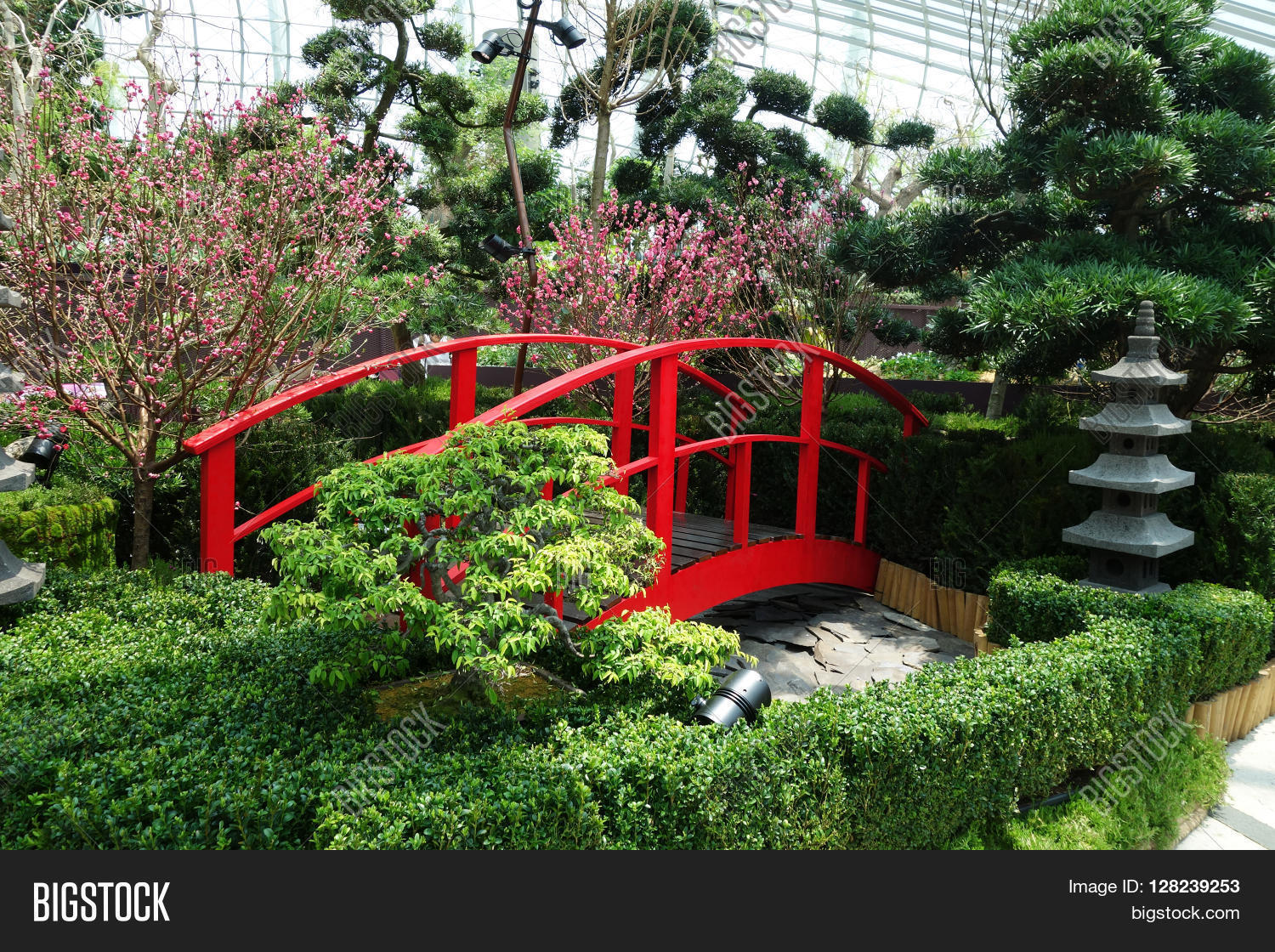 Flower Dome Image & Photo (Free Trial) | Bigstock