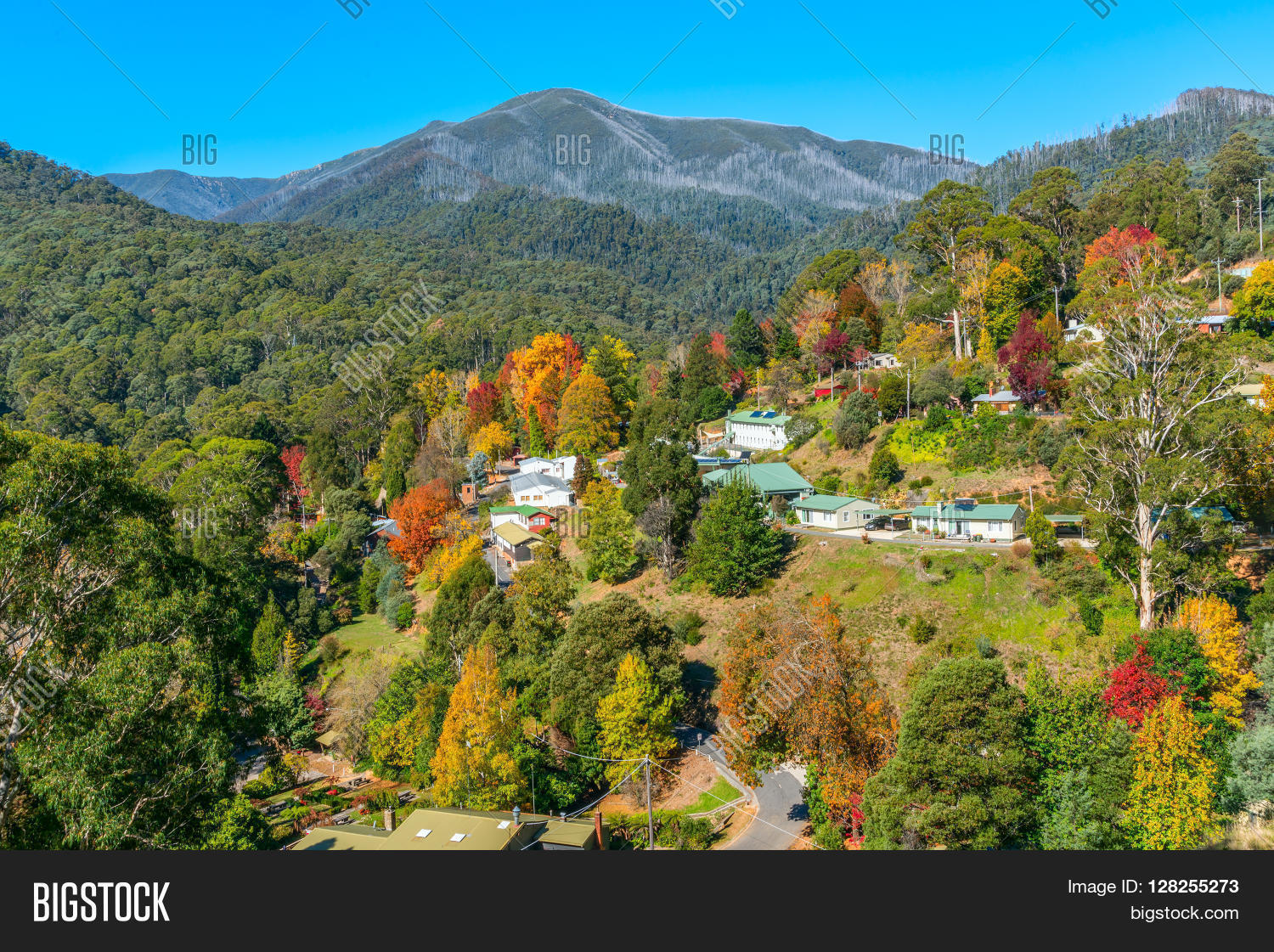 Bogong Village Autumn Image & Photo (Free Trial) | Bigstock