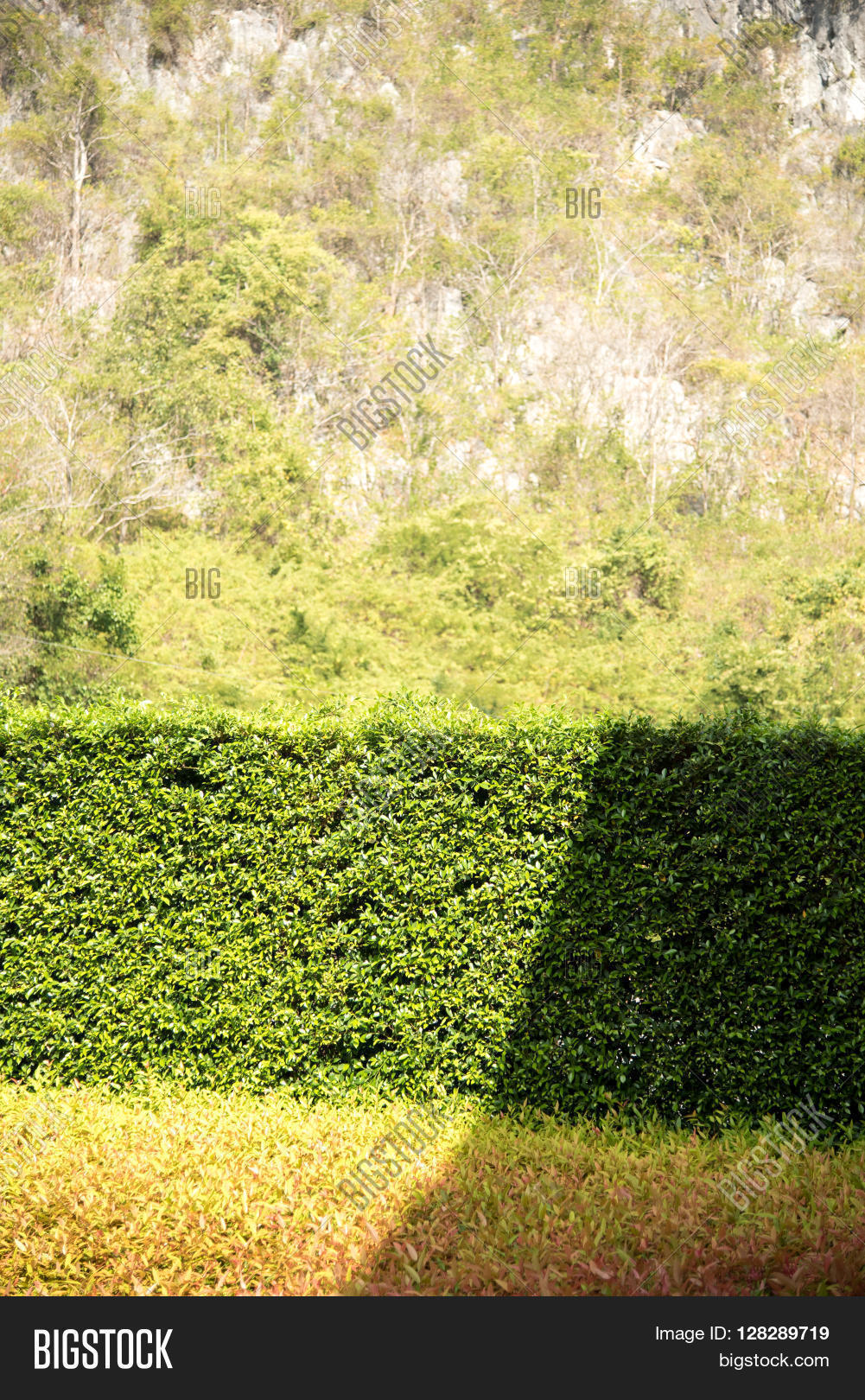 Sunlight Shadow Pass Image & Photo (Free Trial) | Bigstock