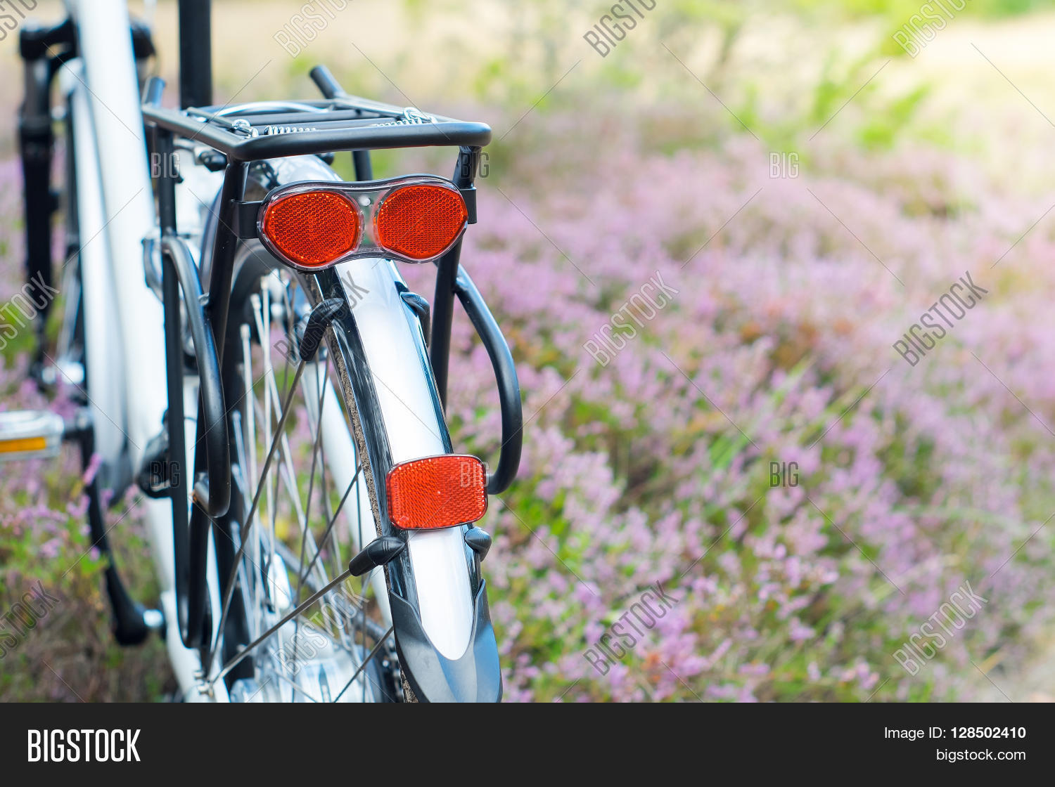 Backside Bicycle Image & Photo (Free Trial) | Bigstock