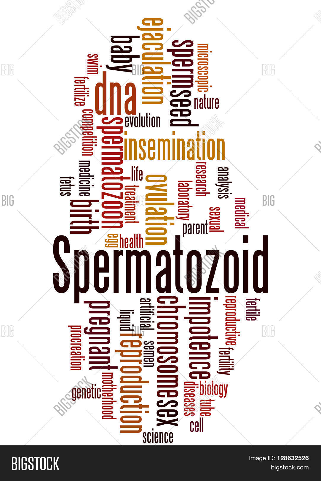 Spermatozoid, Word Image & Photo (Free Trial) | Bigstock