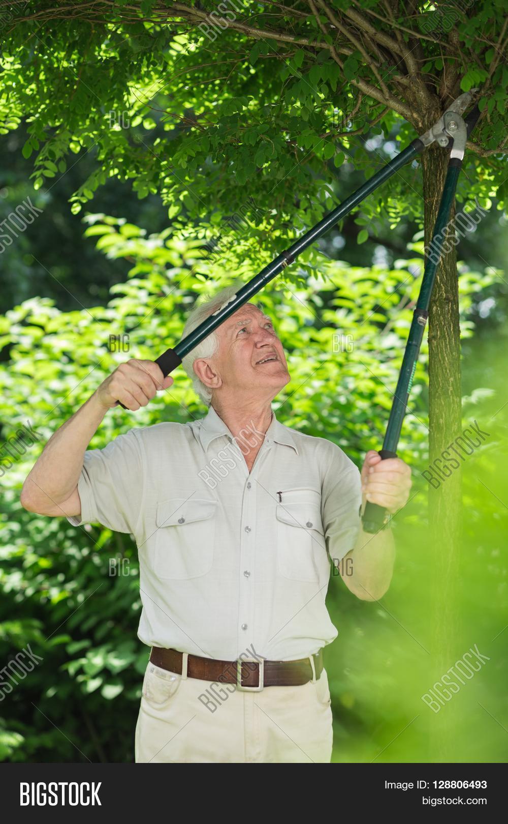 Man Cutting Tree Image & Photo (Free Trial) | Bigstock
