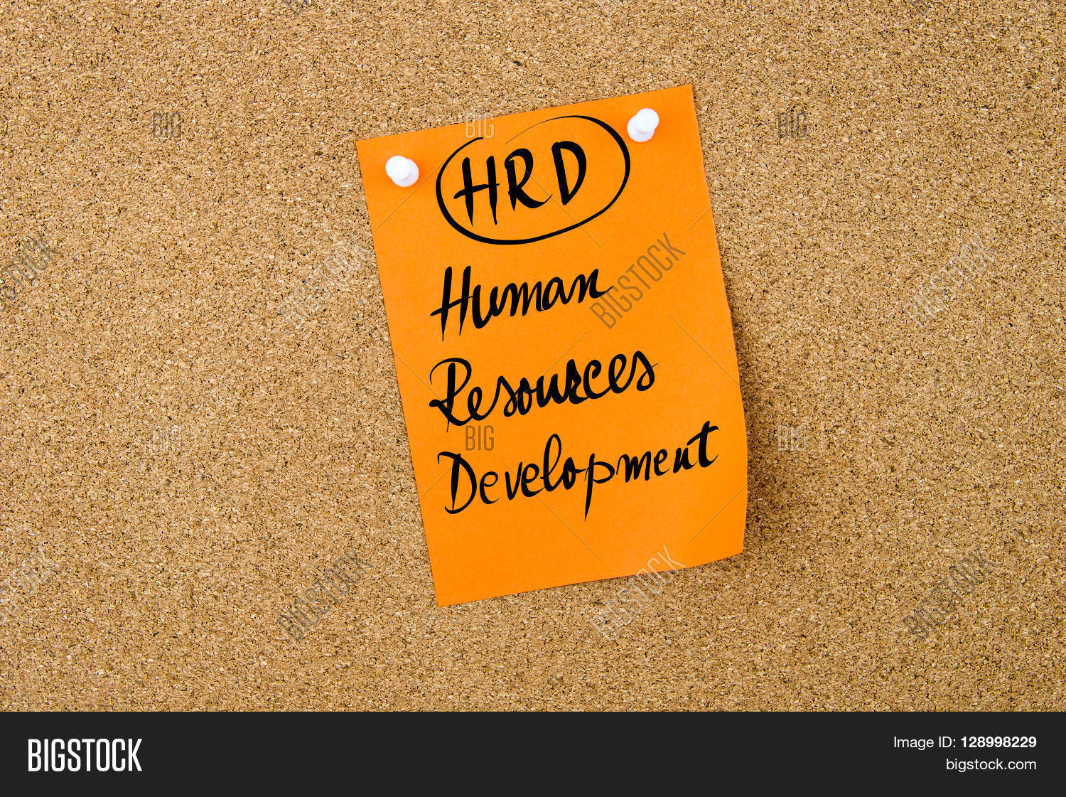 Business Acronym Hrd Image & Photo (Free Trial) | Bigstock