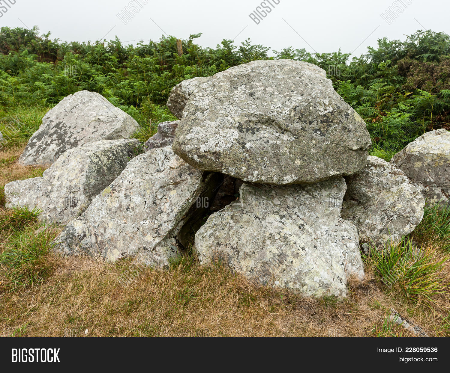 Ancient Celtic Stone Image & Photo (Free Trial) | Bigstock