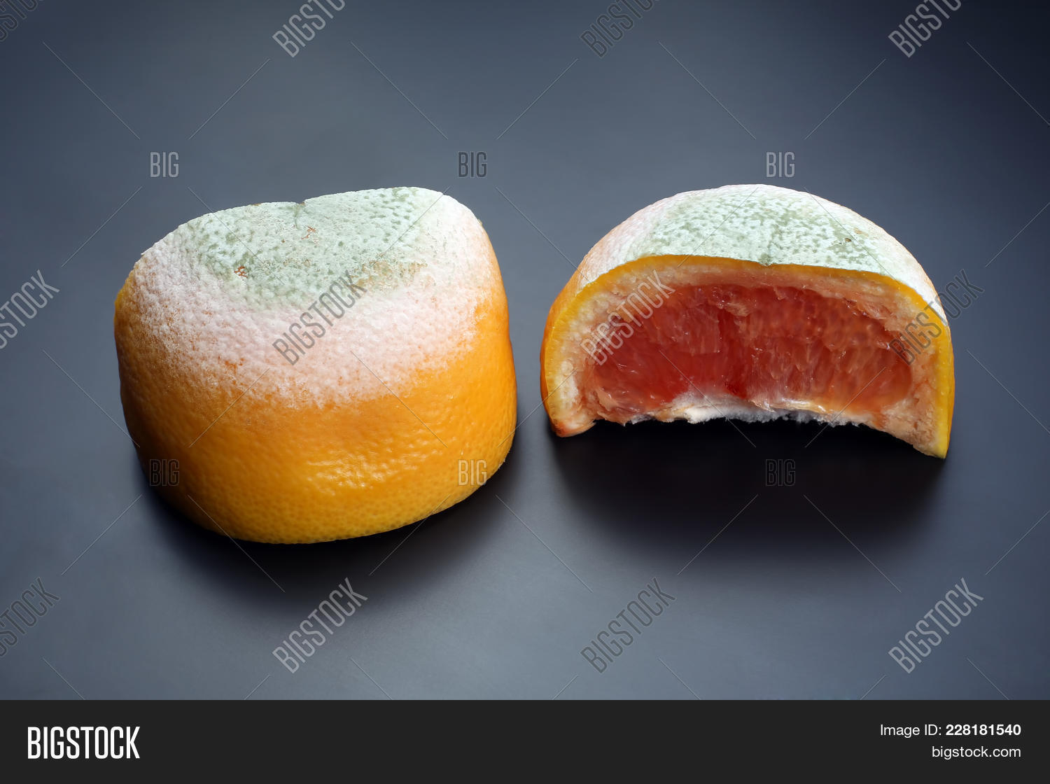 Cut Rotting Grapefruit Image & Photo (Free Trial) | Bigstock