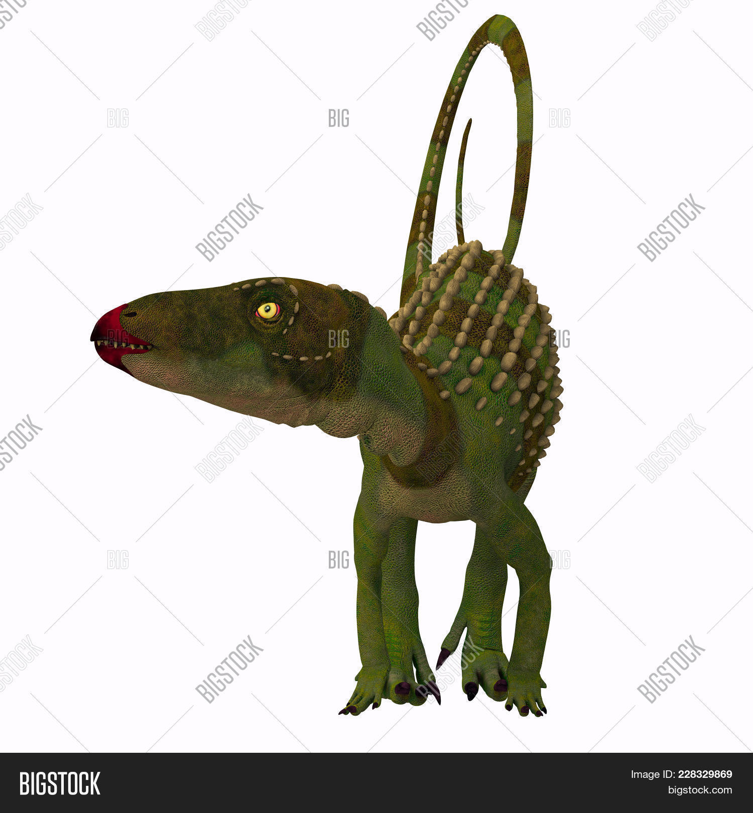 Scutellosaurus Image & Photo (Free Trial) | Bigstock