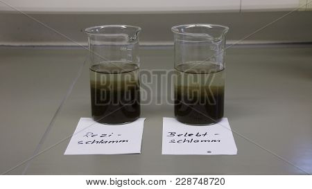 Settling Test Sludge Image & Photo (Free Trial) | Bigstock