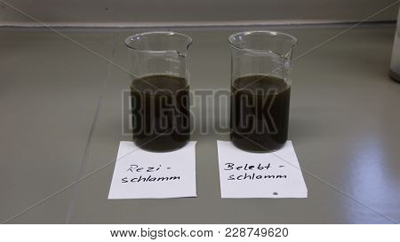 Settling Test Sludge Image & Photo (Free Trial) | Bigstock