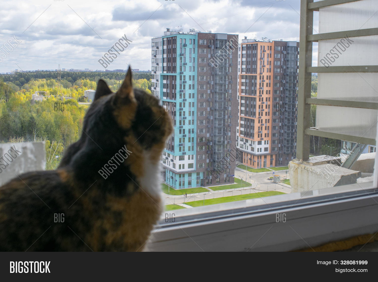 Cat Sits On Window Image & Photo (Free Trial) | Bigstock