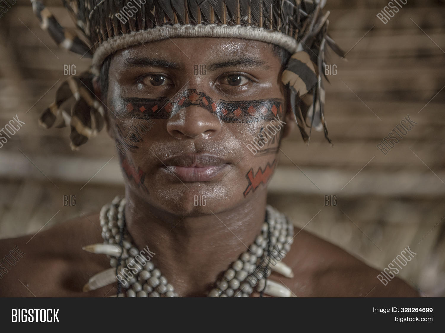 Manaus, Amazonas, Image & Photo (Free Trial) | Bigstock