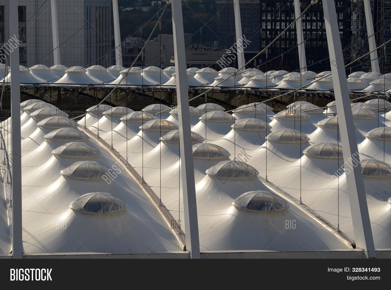 Stadium Cover Image & Photo (Free Trial) | Bigstock