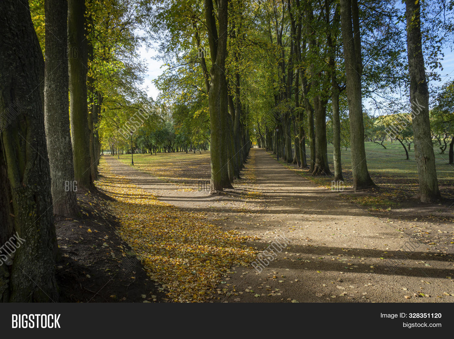 Forking Road Park Image & Photo (Free Trial) | Bigstock