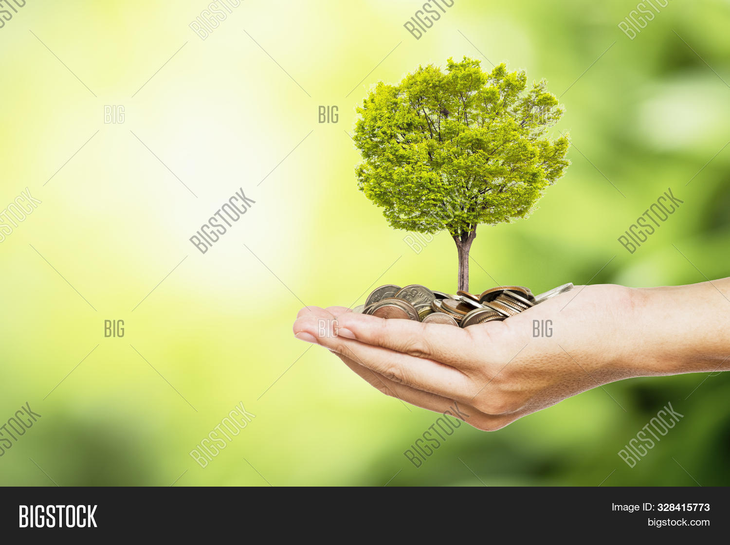 Man Hand Holding Coins Image & Photo (Free Trial) | Bigstock