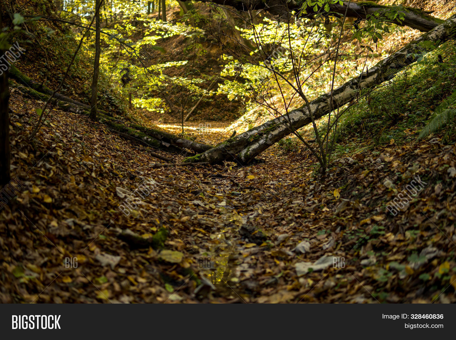 Bottom Gully Landform Image & Photo (Free Trial) | Bigstock