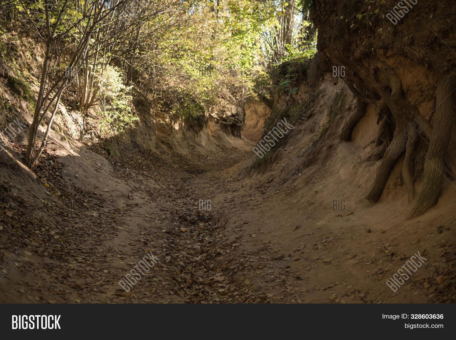 Bottom Gully Landform Image & Photo (Free Trial) | Bigstock