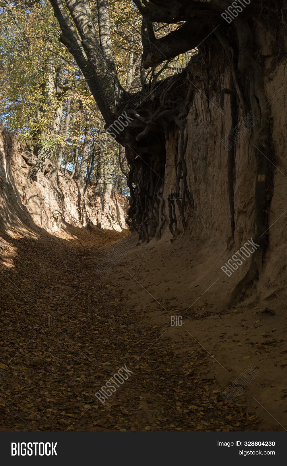 Bottom Gully Landform Image & Photo (Free Trial) | Bigstock