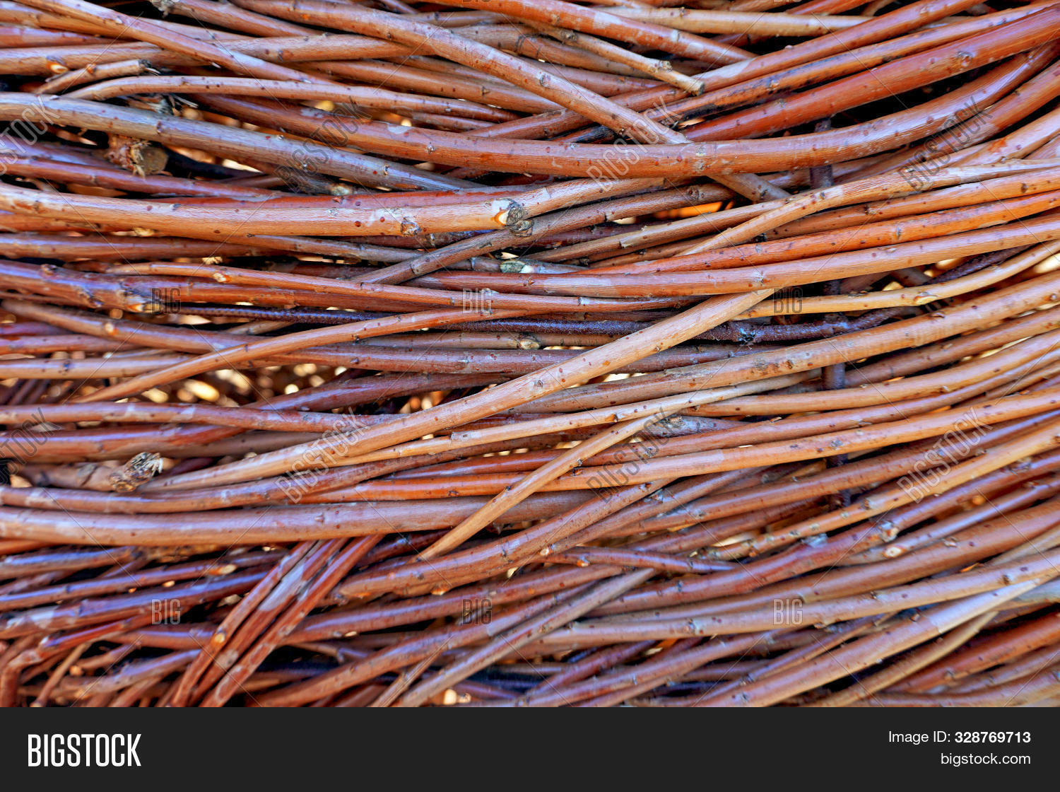 Woven Twig Tree Image & Photo (Free Trial) | Bigstock