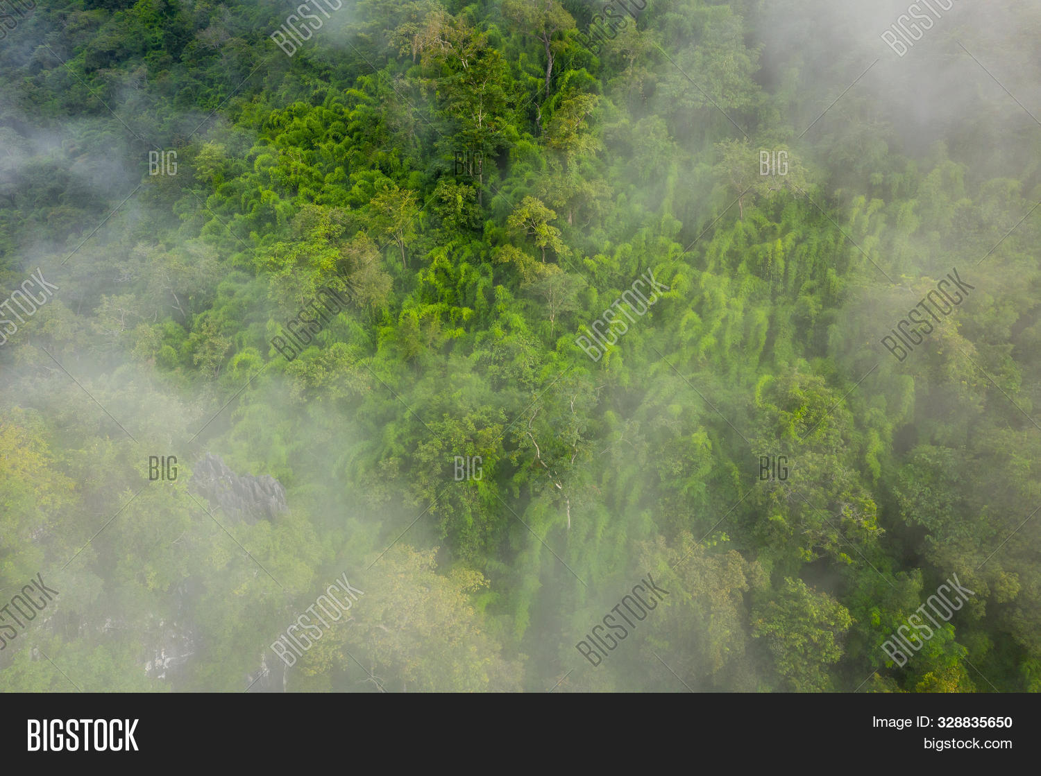 Aerial View Tropical Image & Photo (Free Trial) | Bigstock