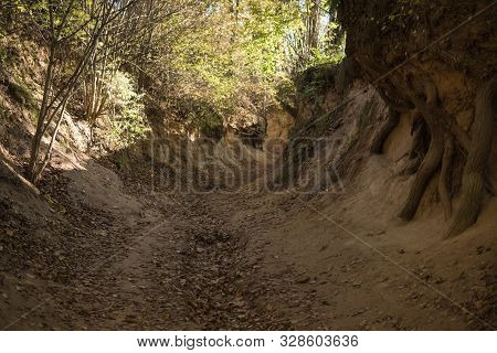 Bottom Gully Landform Image & Photo (Free Trial) | Bigstock