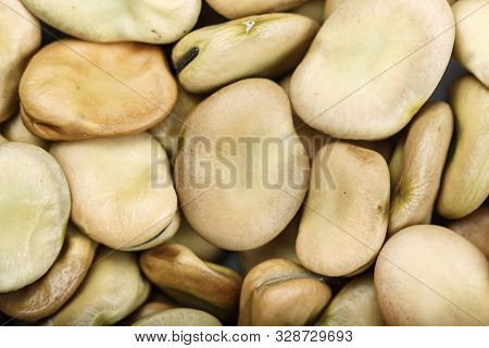 Images, Illustrations & Vectors (Free) - Bigstock