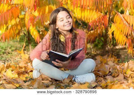 Self Education Concept Image & Photo (Free Trial) | Bigstock