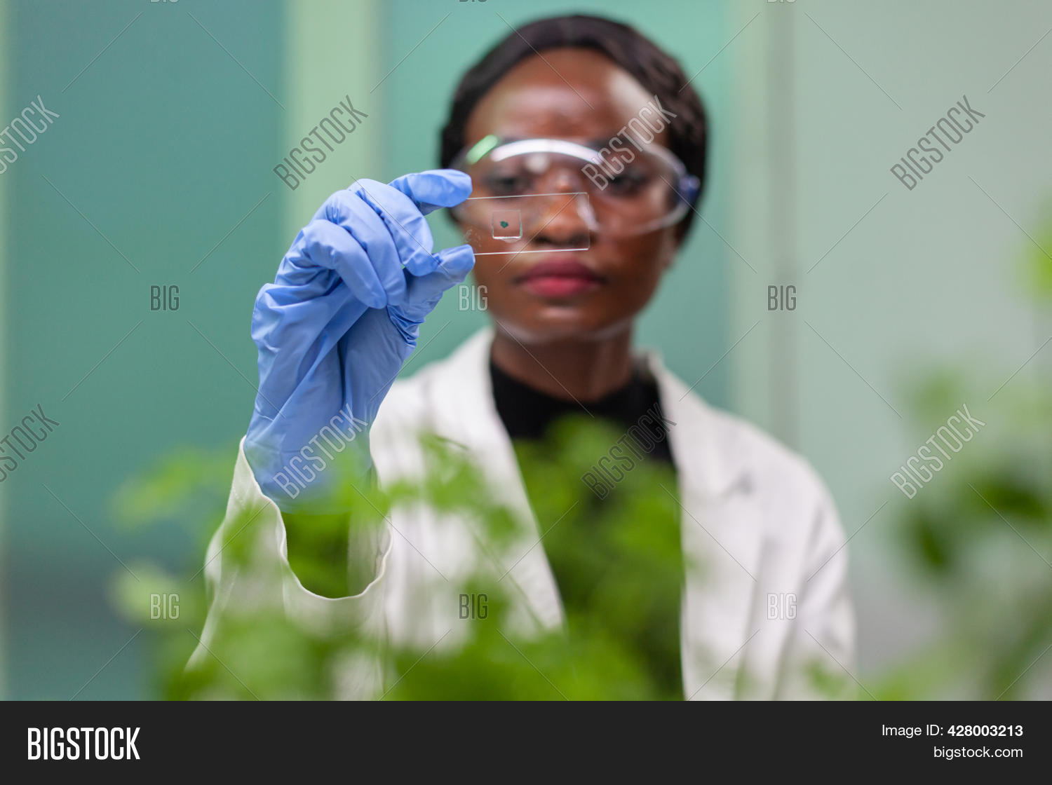 African Botanist Woman Image & Photo (Free Trial) | Bigstock