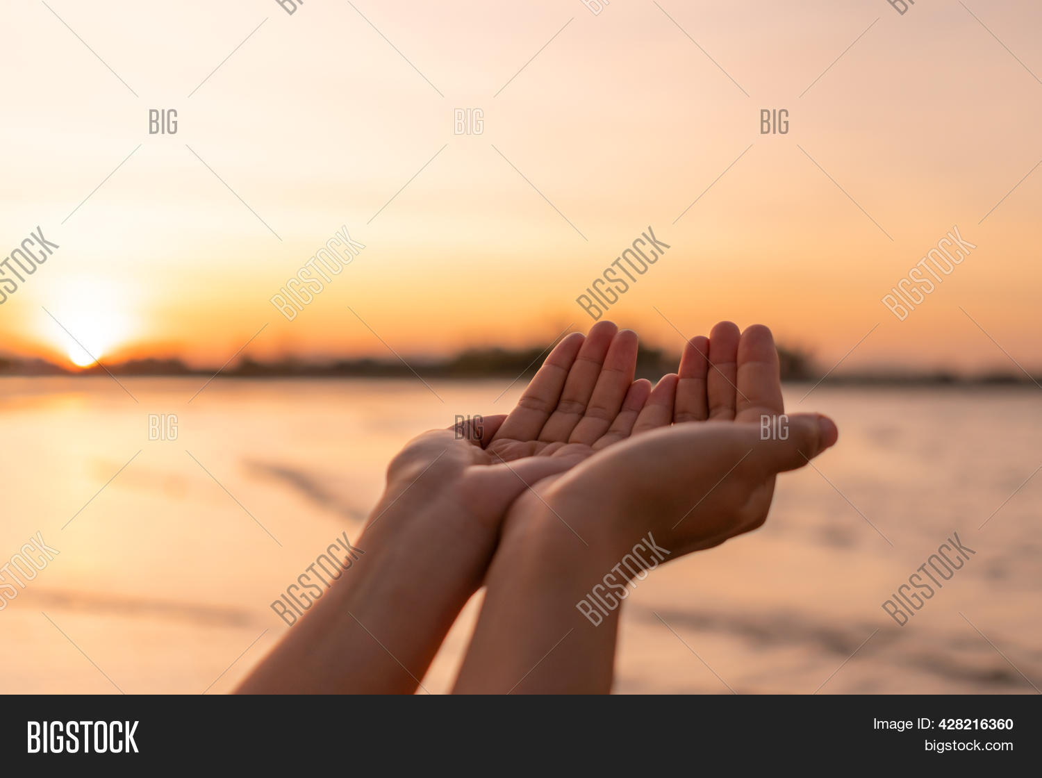 Woman Hands Place Image & Photo (Free Trial) | Bigstock