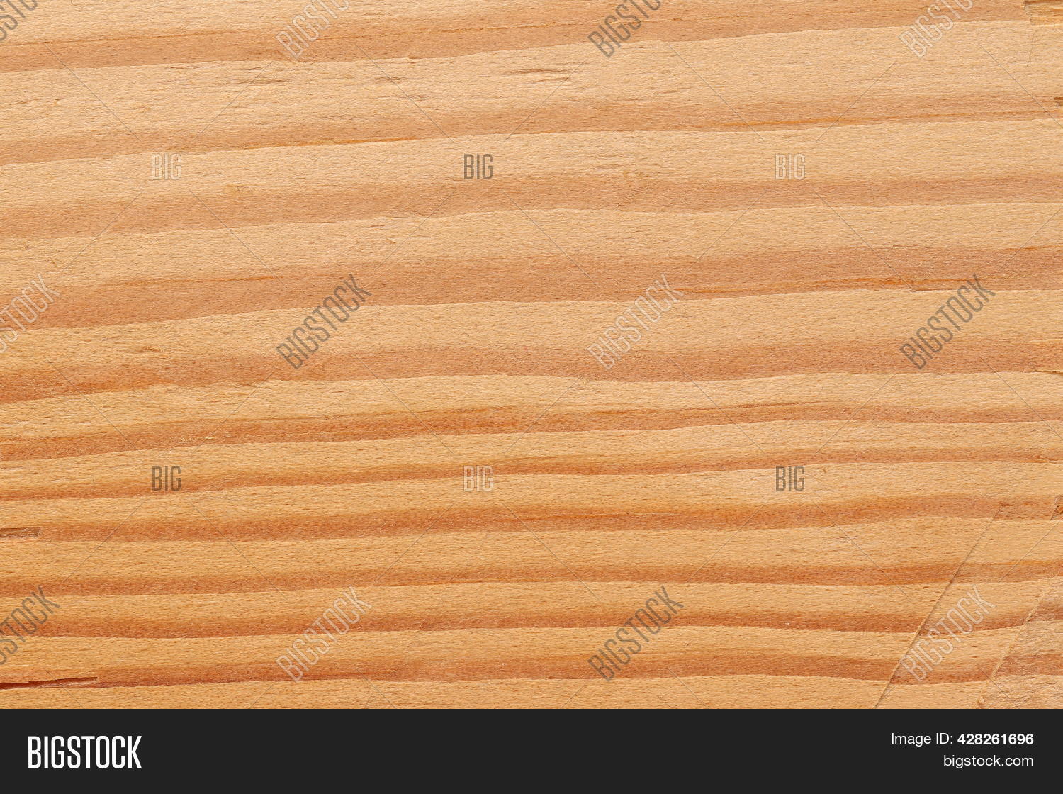 Pine Tree Cut Texture Image & Photo (Free Trial) | Bigstock
