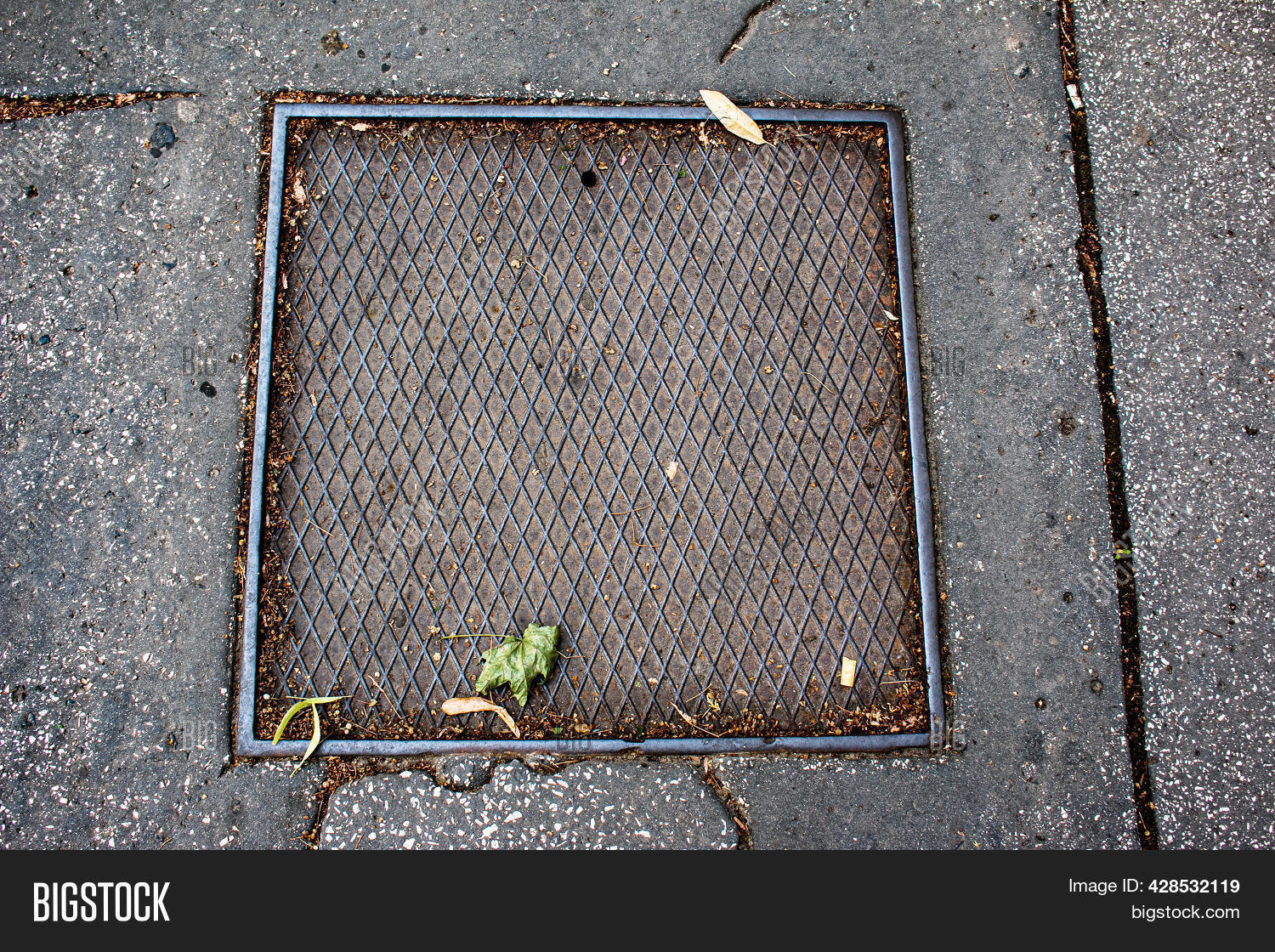 Square Hatch Image & Photo (Free Trial) | Bigstock