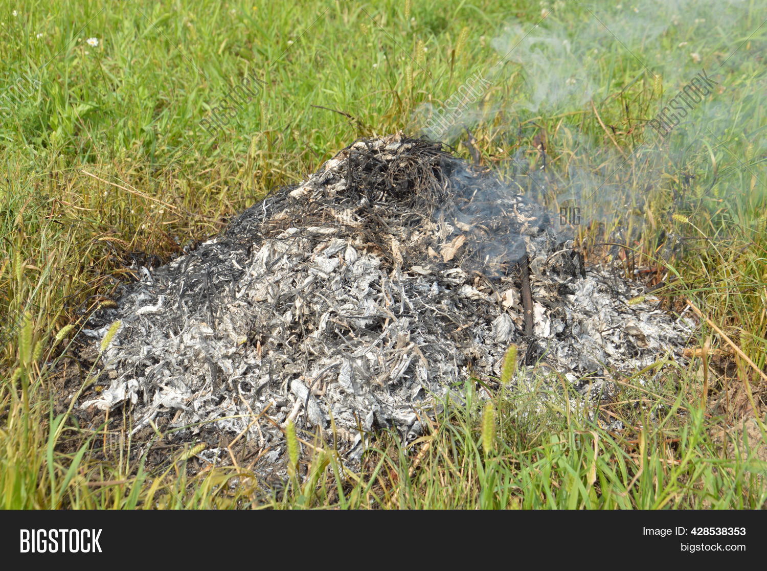 Imagen y foto Bonfire Dry Plants (prueba gratis) | Bigstock