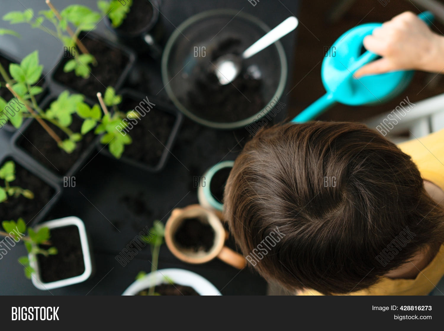 Little Boy Planting Image & Photo (Free Trial) | Bigstock