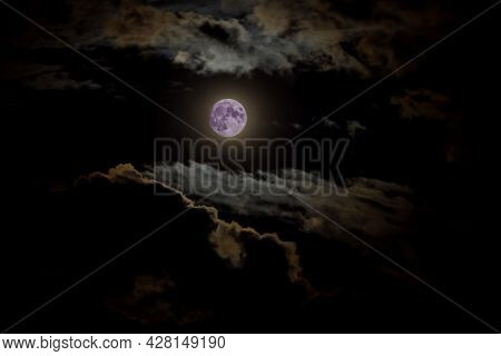 Spooky Full Moon Night Image & Photo (Free Trial) | Bigstock