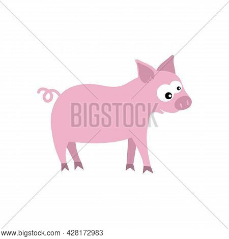 Pig 2d Cartoon Style Vector & Photo (Free Trial) | Bigstock