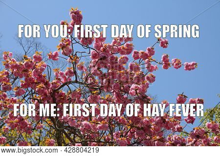 Allergies Season Funny Image & Photo (Free Trial) | Bigstock