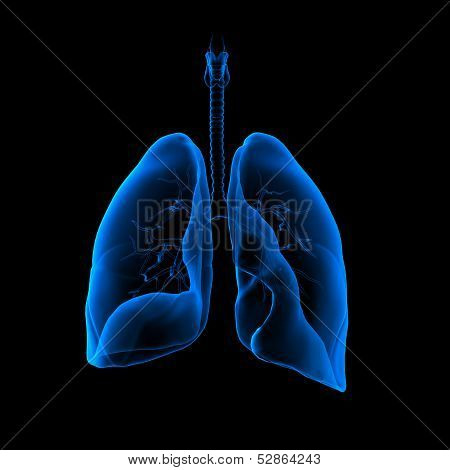 3D Medical Image & Photo (Free Trial) | Bigstock