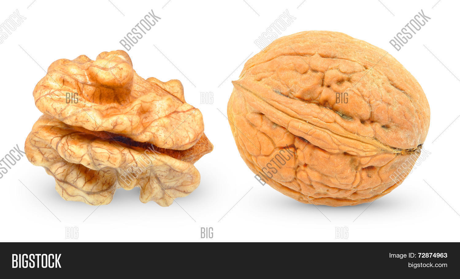 Walnuts Isolated Image & Photo (Free Trial) | Bigstock