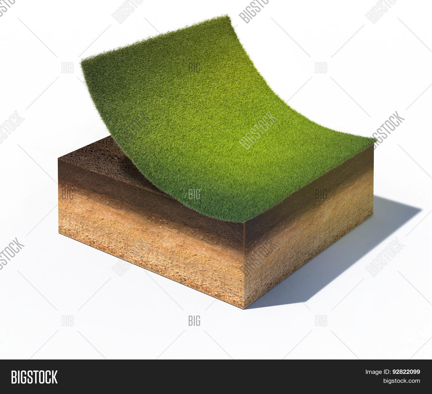 Cross Section Ground Image & Photo (Free Trial) | Bigstock