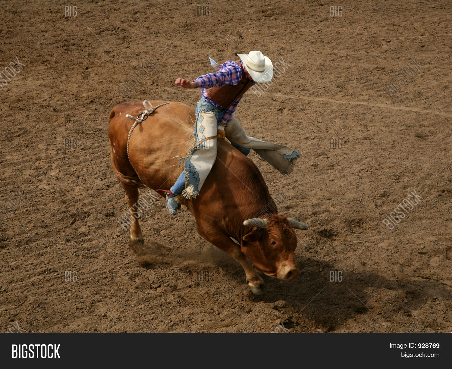 Bullrider Image & Photo (Free Trial) | Bigstock